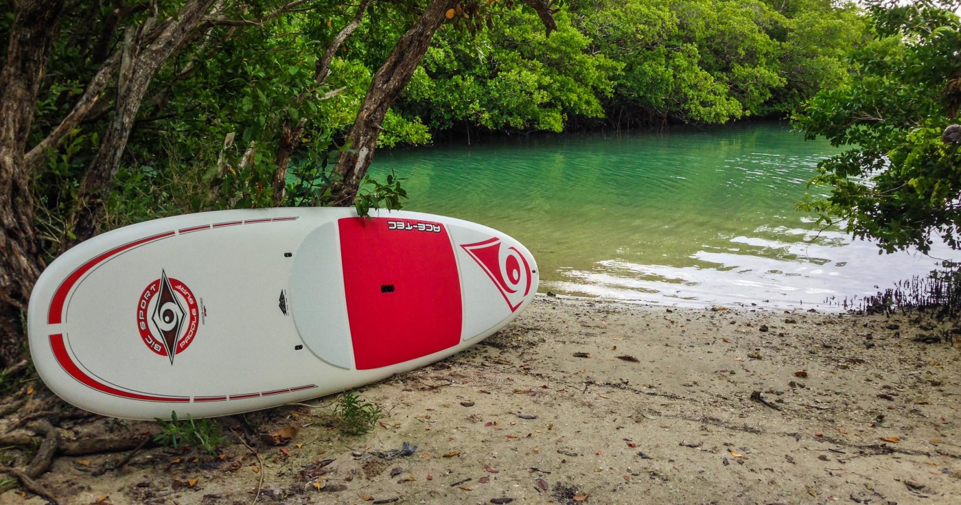 Self-Guided Paddle Board Rentals Bonita Springs FL | Paddle Naples