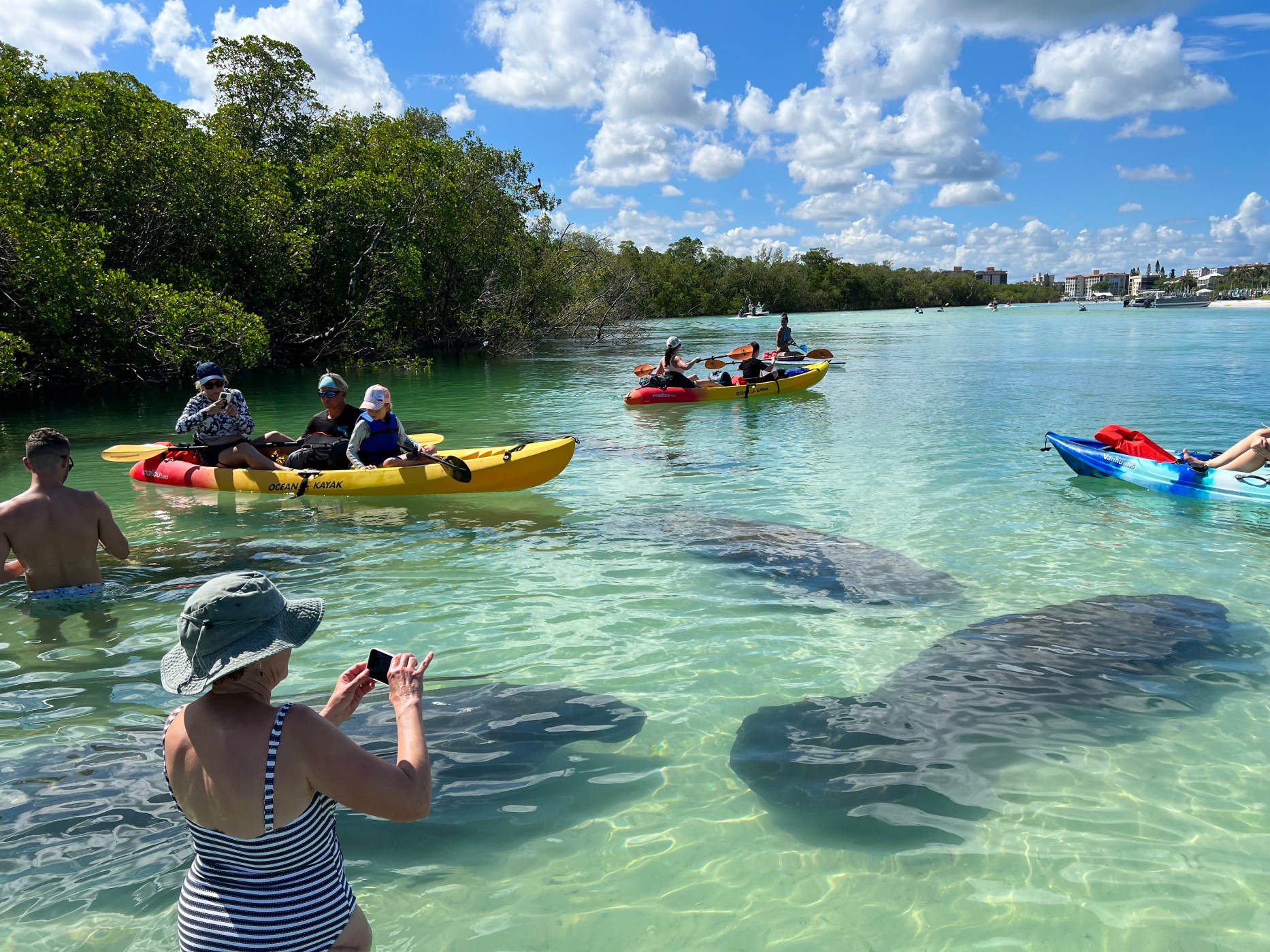Paddle Naples | Go Paddle Boarding & Kayaking Bonita Springs, FL